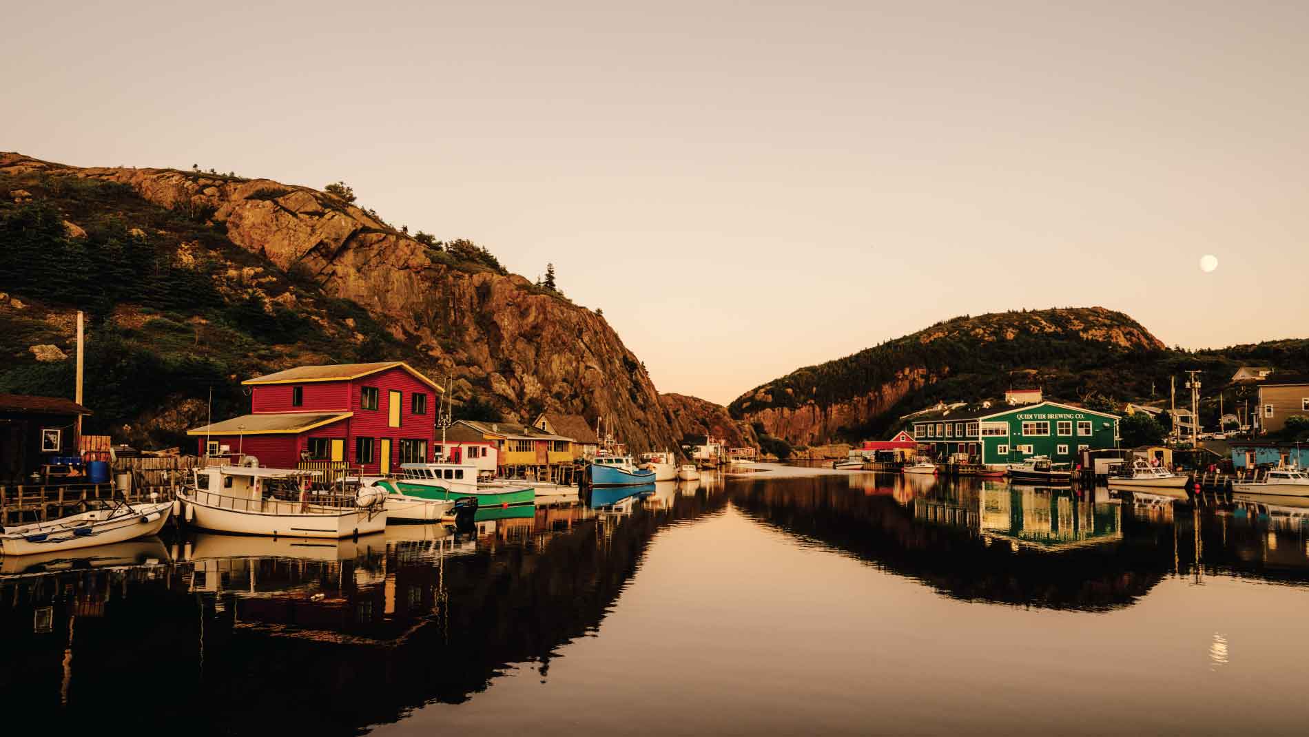 Contact - Canadian Food Exporters Association (CFEA)