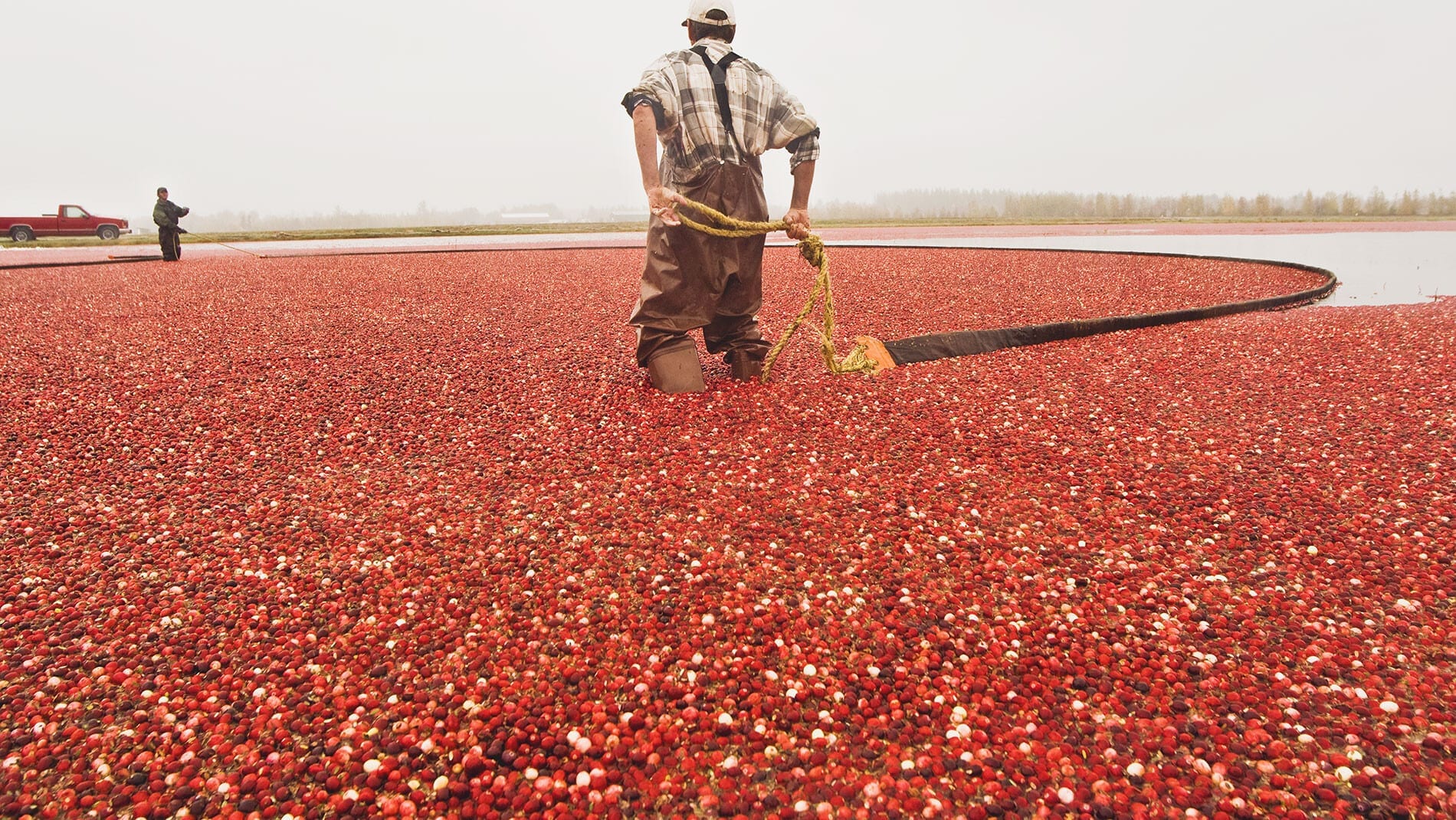 Benefits - Canadian Food Exporters Association (CFEA)