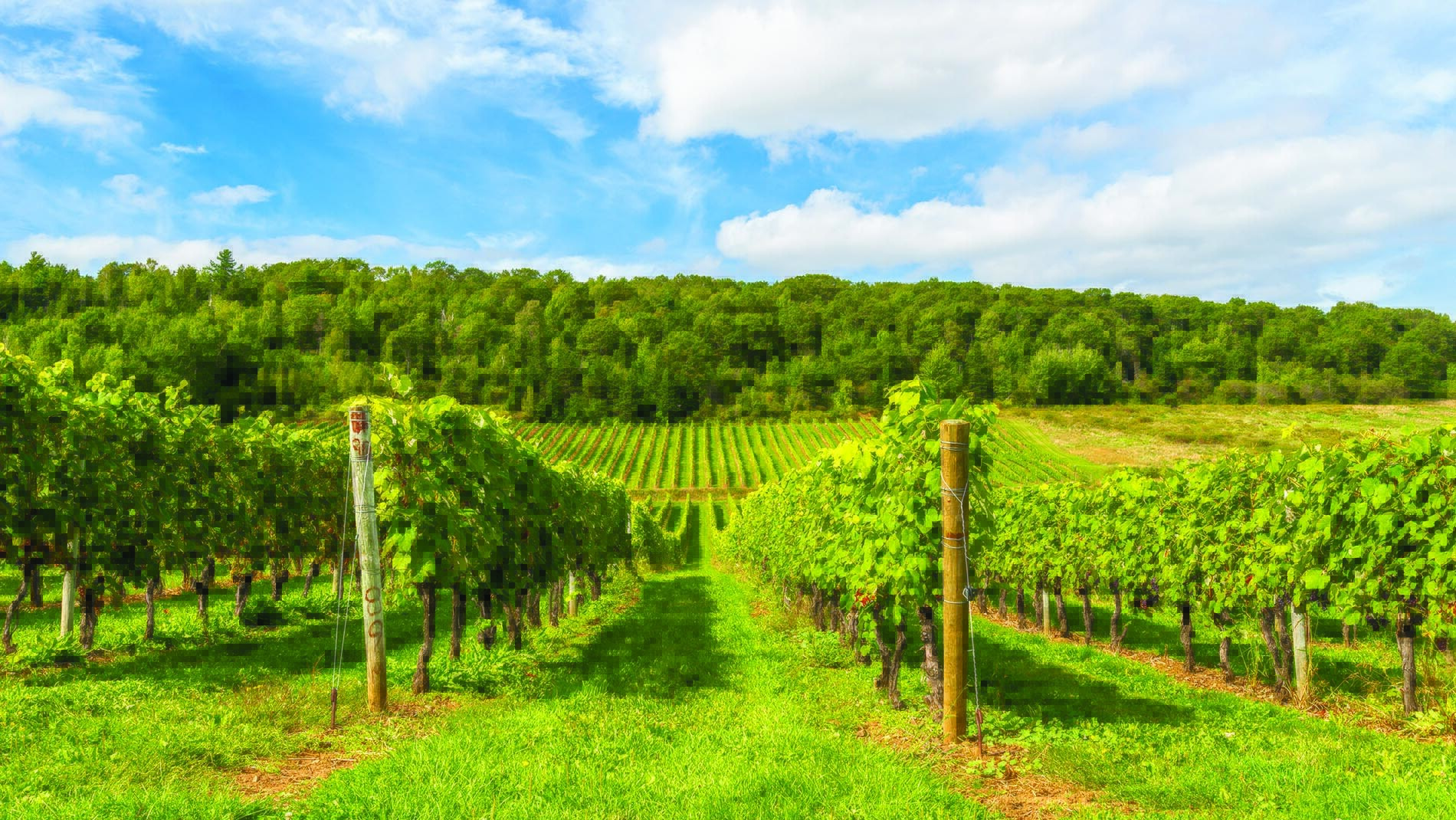 Magazine - Canadian Food Exporters Association (CFEA)