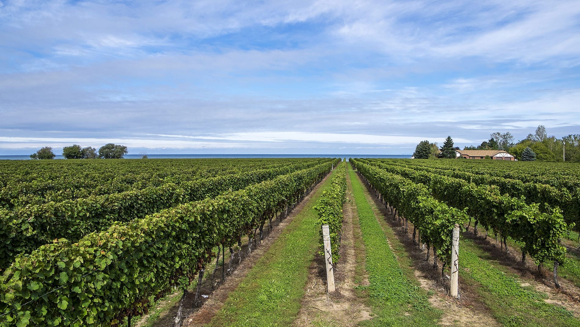 CFEA Members - Canadian Food Exporters Association (CFEA)